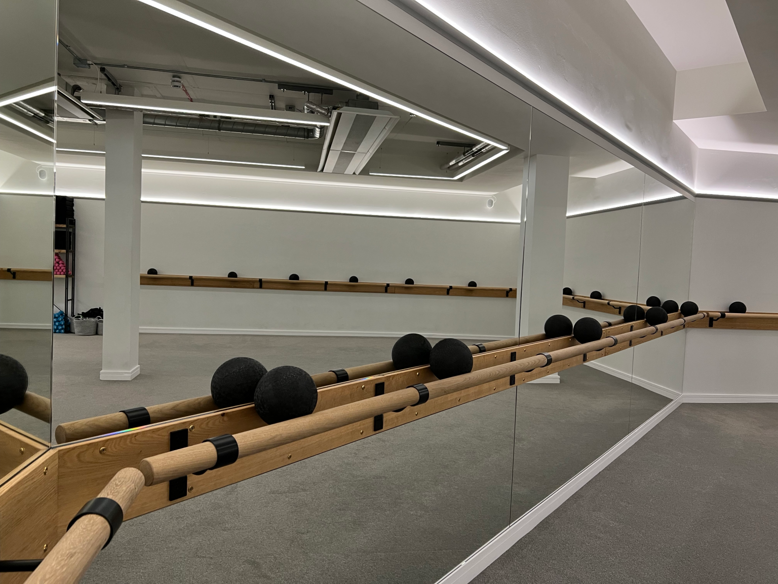 The Ballet Barre Company - ballet barres, sprung dance floors, gym and ...